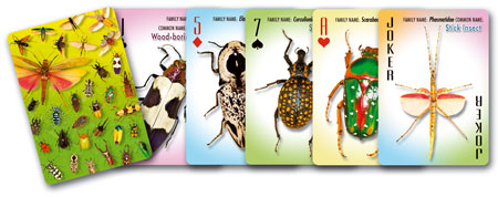 Incredible Insects Playing Cards | PL.CARDS.2300