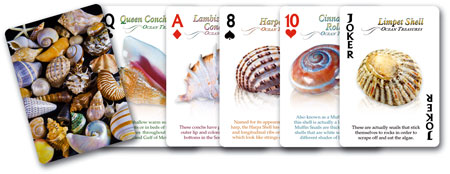 Amazing Shells Playing Cards | PL.CARDS.2700